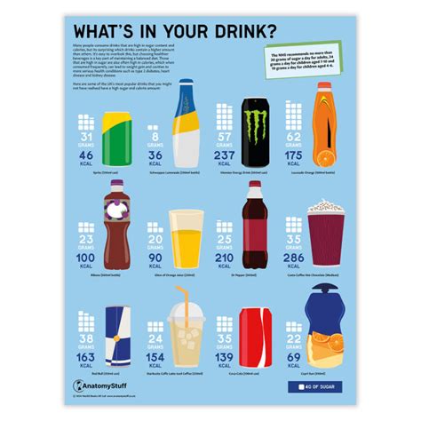 Healthy Eating And Nutrition Posters Anatomystuff