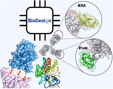 Biodesignprotein Drug Design Platform Tradekorea