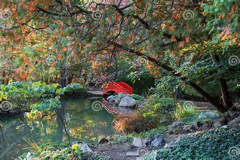 Traditional Red Bridge In Japanese Garden During Autumn Time In