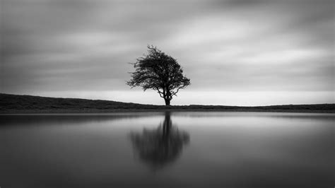 Monochrome Landscape Wallpapers Wallpaper Cave