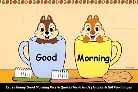 Crazy Funny Cartoon Quotes