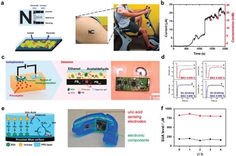Flexible Amperometric Enzymatic Biosensors For Monitoring Download Scientific Diagram