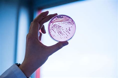 Un Nuevo Antibiótico Da Tiempo A La Medicina En La Interminable Lucha