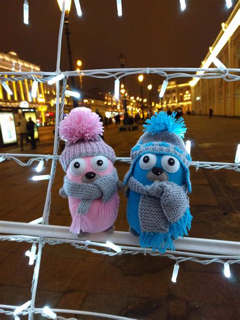 Талисман языка программирования Golang Gopher в шапочке и шарфе Gopher ...