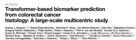 周日训练营直播：transformer来袭！基于转化子的癌症组织学生物标志物预测：一项大规模多中心研究 知乎