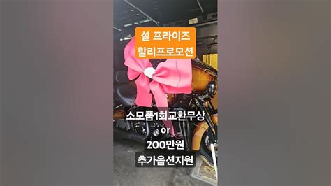설프라이즈 할리데이비슨 1월 프로모션 할리흑곰 Youtube