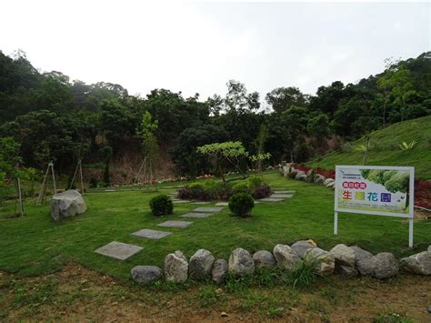 紮根社區共築綠化家園之夢 指傳媒
