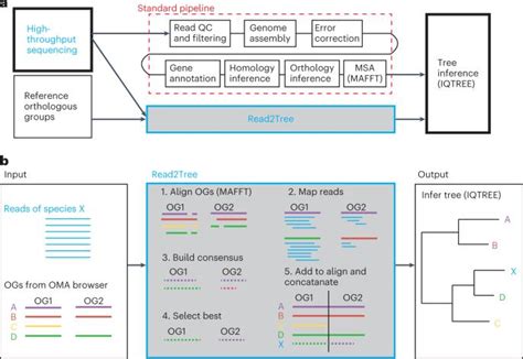 Sina Majidian On Linkedin Inference Of Phylogenetic Trees Directly From Raw Sequencing Reads Using…