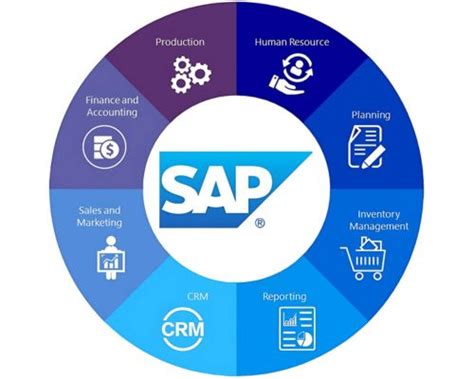 Sap Course Ux Display Institute United Kingdom