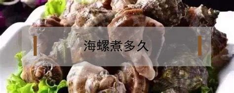 海螺煮多久 鲜淘网