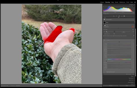 Select Objects Schenectady Photographic Society