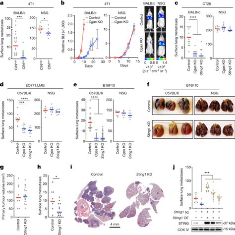 染色体不稳定导致的非细胞自主癌症进展 Nature X Mol