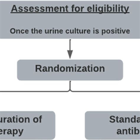 Empirical Oral Antibiotic Therapy Download Scientific Diagram