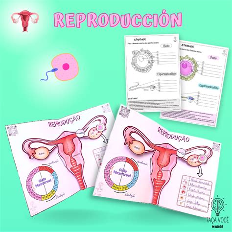Reprodução 3D Español Faça Você Maker