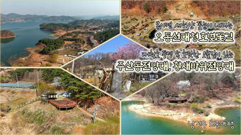 드론여행 봄이면 새하얀 꽃눈 내리는 오동선대청호벚꽃길 대청호오백리길 4구간 중 호젓한 오솔길과 아름다운 호수풍경의