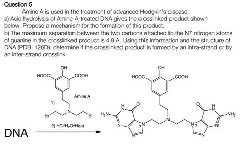 Solved Amine A Is Used In The Treatment Of Advanced Chegg Com
