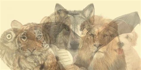 Test visual el animal que mires primero revelará aquello que ocultas de tu personalidad Infobae