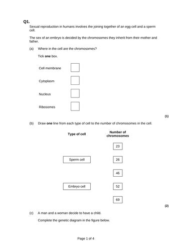 Sex Determination Teaching Resources
