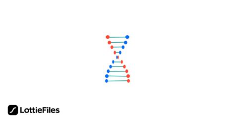 Free Dna Double Helix Animation By Mervin Paul Lottiefiles