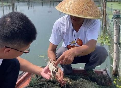 今年中秋将吃不上阳澄湖大闸蟹，预计9月下旬开湖时间上市进行