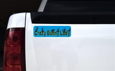 10in X 3in Crazy Bunny Lady Magnet Stickertalk®
