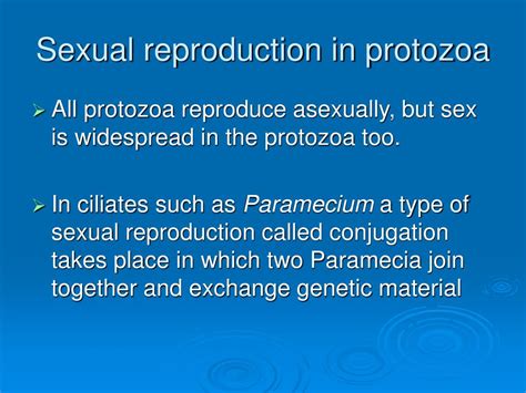 PPT Protozoans PowerPoint Presentation Free Download ID