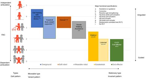 Stage 2 Who Are The Best Candidates For Robotic Gait Training