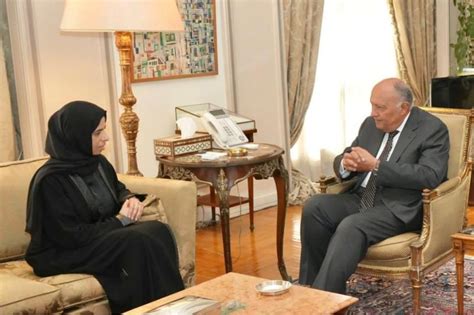 وزير الدولة للتعاون الدولي تجتمع مع وزير الخارجية المصري