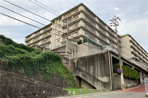 ネイバー · エステート株式会社