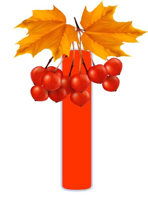 Розтяжка Осінь 5 тиждень НУШ Презентація НУШ