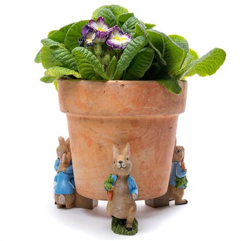 Buy Beatrix Potter Set 1 Peter Rabbit Online