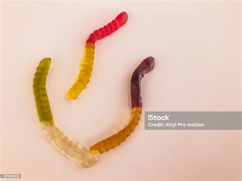다른 색상의 거미 벌레는 분홍색 매트 배경에 놓여 있습니다 젤라틴 단맛 나뭇잎 모양의 벌레 증기로 순환 케이크와 페이스트리 차와