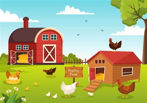 Poultry Farming With Farmer Cage Chicken And Egg Farm On Green Field Background View In Hand