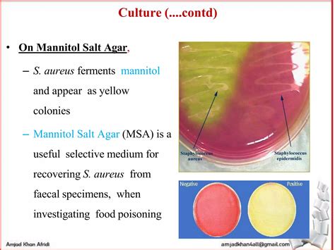 Staphylococcus Pptx