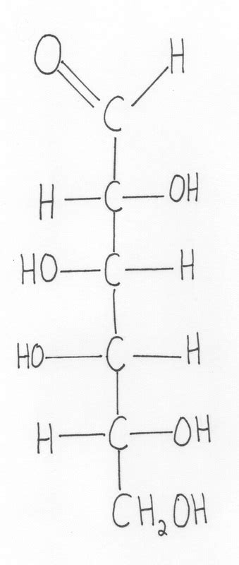 Lewis Structure Galactose
