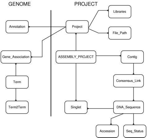This ER Diagram Shows Both The GENOME Schema And A Single PROJECT Download Scientific Diagram