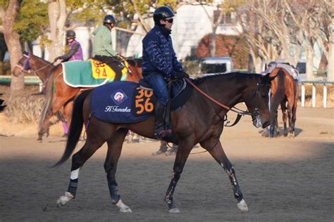 【アールヴィヴァン】my厩舎唯一の3才牡馬デビュー戦決定 アラカン優優の一口馬主ライフ