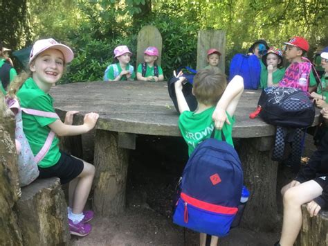 Bodenham Arboretum Trip Brown Clee Ce Primary School