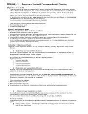 Understanding The Audit Process And Objectives A Comprehensive Course Hero