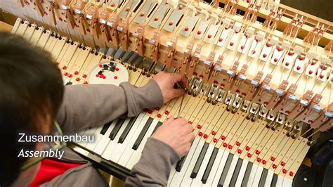Celesta Instrument Facts That Surprise You