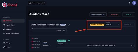 Qdrant Reranking Support Extensive Resource Optimizations Qdrant