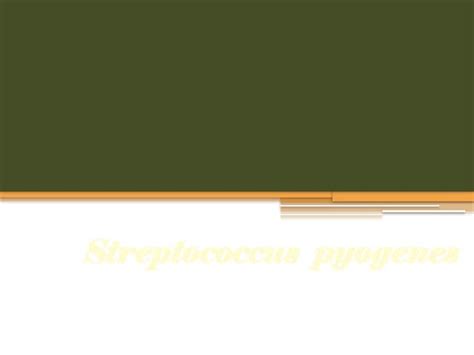 Streptococcus Pyogenes Is One Of The Most Frequent Pathogens Of Humans Pptx