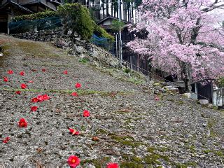 京都うらみちあんない636 長福寺北区 洛北エリア
