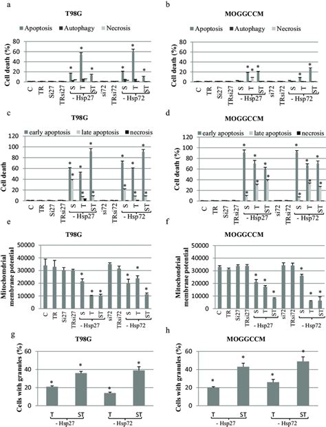 The Effect Of Temozolomide T And Sorafenib S On Apoptosis