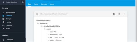 Javascript How To Add Data In Firebase Database With Unique Keys And