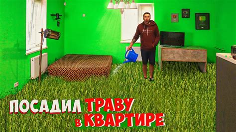 ПОСАДИЛ ГАЗОН В КОМНАТЕ ! - YouTube