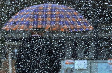 Defesa Civil Alerta Para Temporais Em Blumenau Nesta Semana Portal Menina