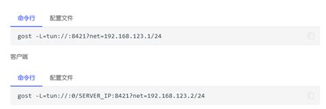 tun ipv6 ping 不了 Issue 139 go gost gost GitHub