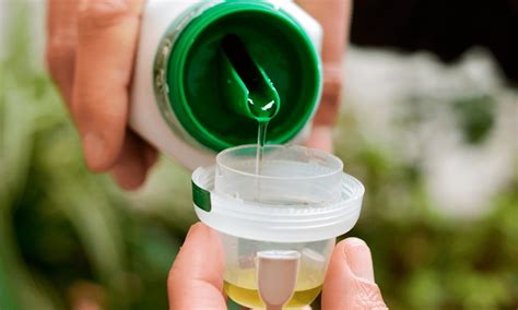 Injection Blow Moulding Nurel Biopolymers Nurel