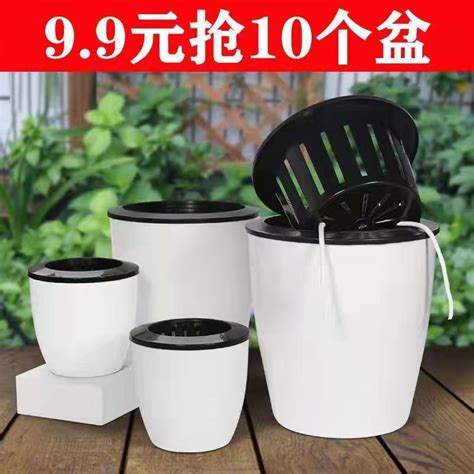 懒人花盆自动吸水绿萝花盆懒人盆水培盆栽免浇水塑料仿陶瓷自吸盆虎窝淘